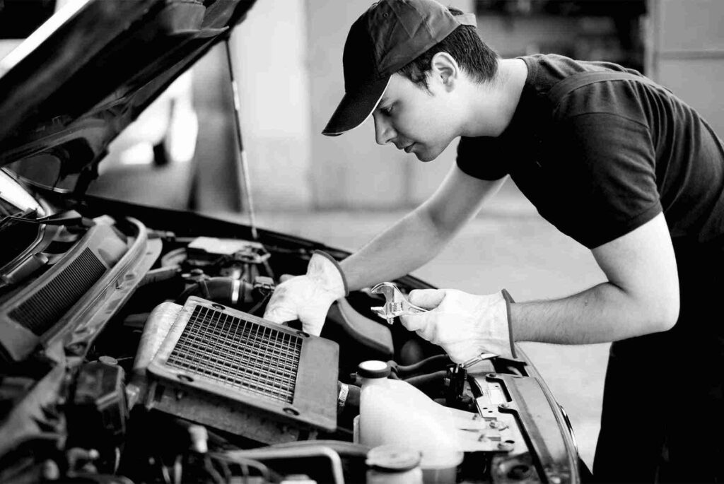 Services - TransWorld Japan